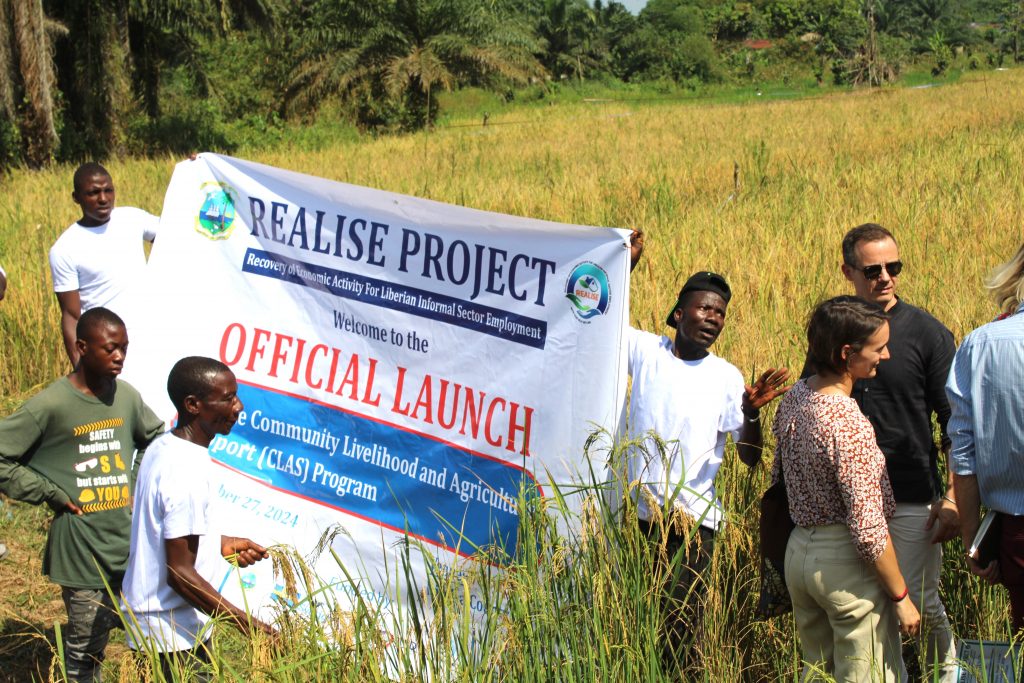 Social Protection Liberia – Discover the national social protection ...